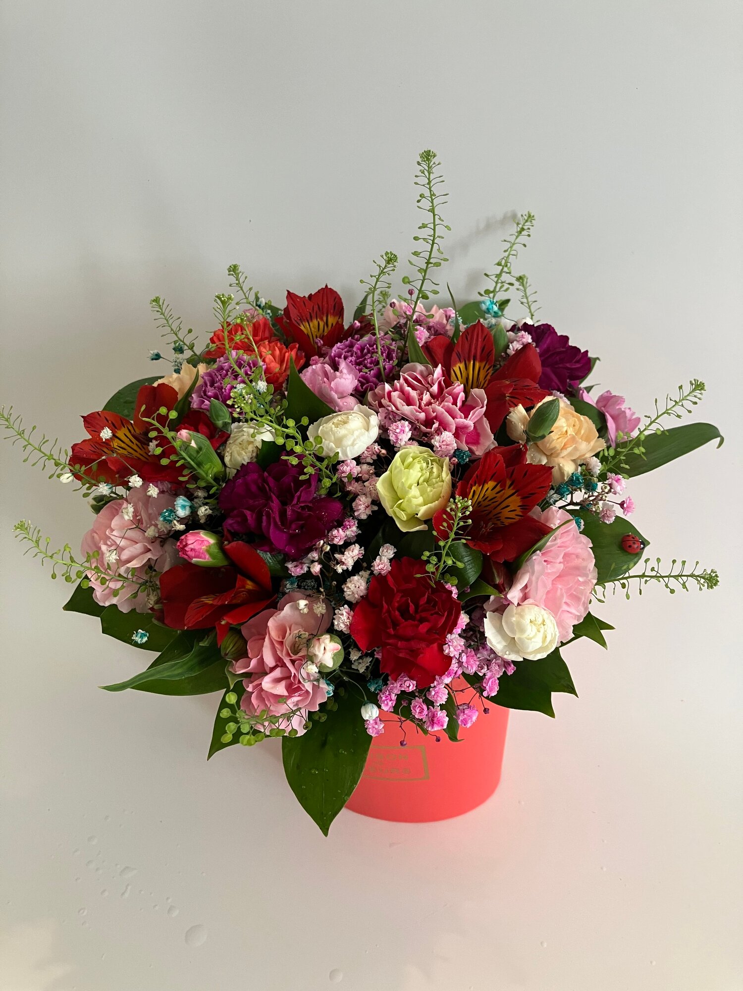 Букет композиция из кустовых гвоздик микс, с красной альстромерией, в алой коробке Мейсон