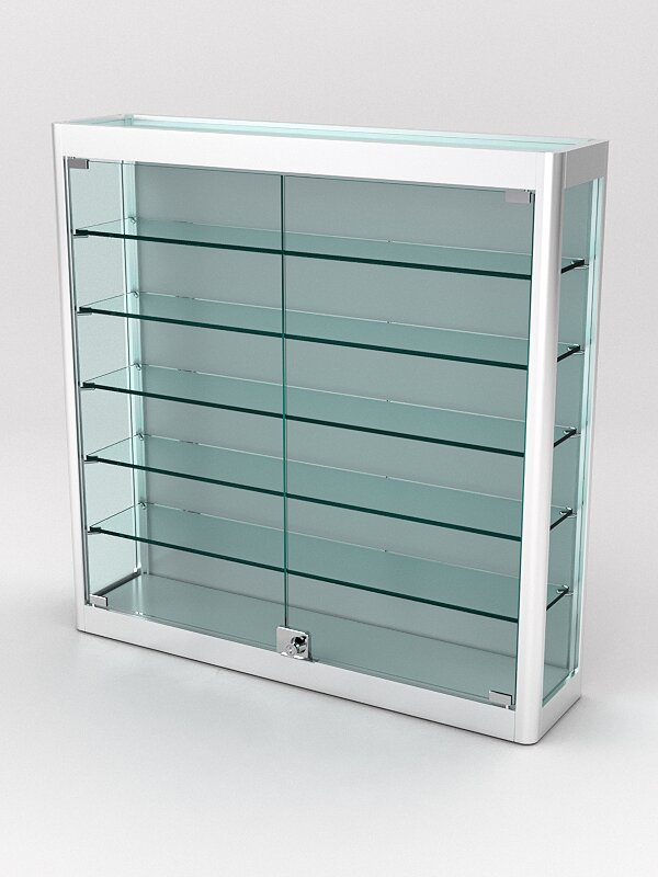 Витрина из профиля настенная "вайб ИКС" №1-5П-ДСП-170 (задняя стенка ДСП), Серый