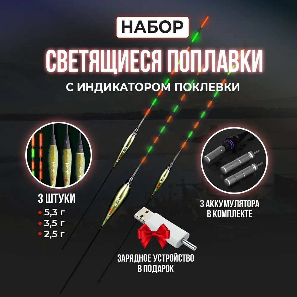 Светящиеся поплавки с индикатором поклевки набор 3 штуки 5,3 г 3,5 г 2,5 г с зарядным устройством