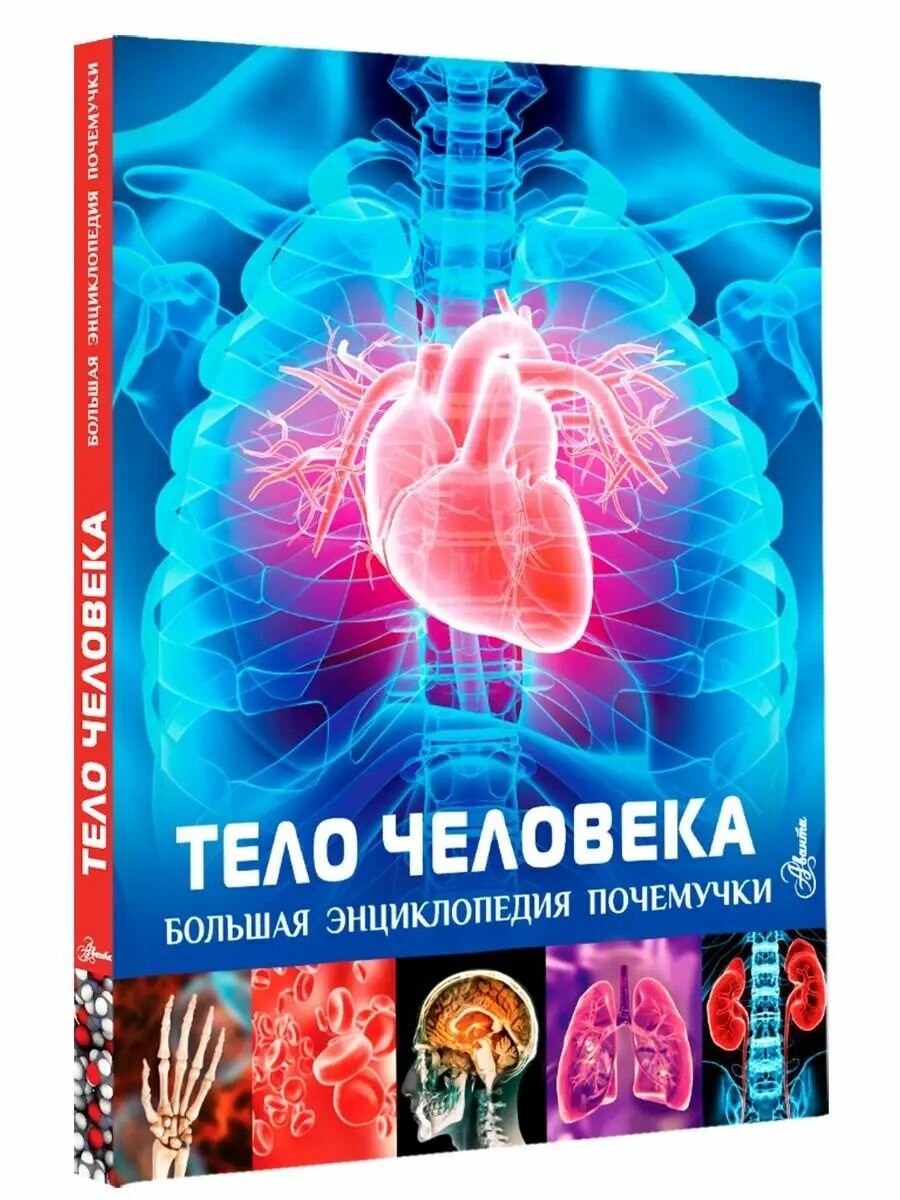 Тело человека