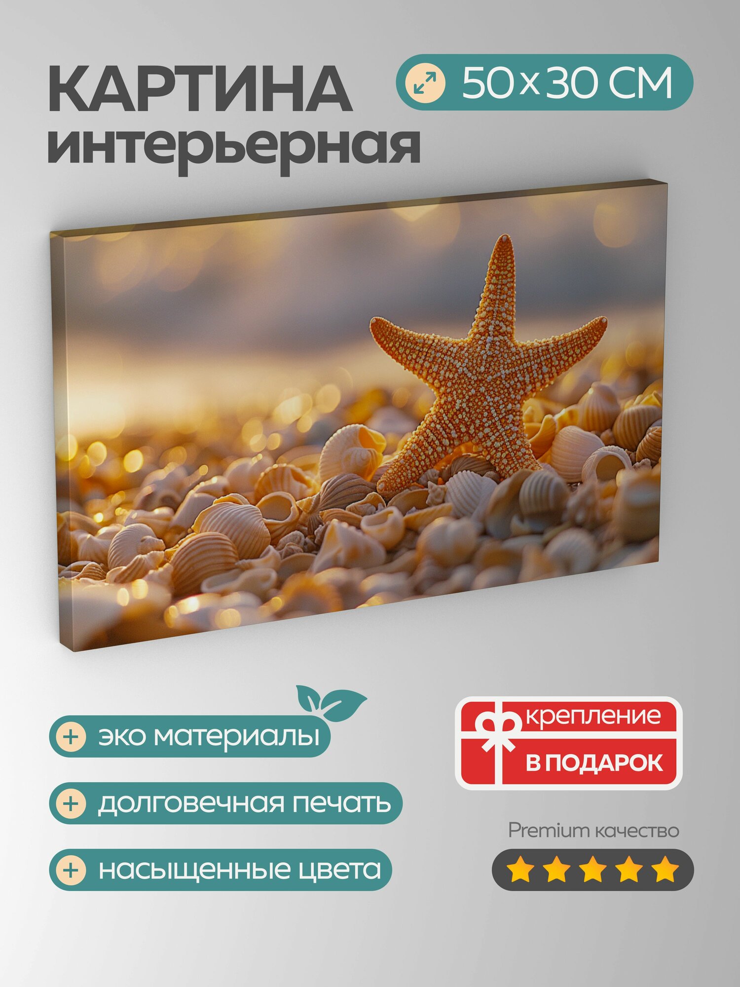 Картина на холсте интерьерная 50х30 см, фотография, морская звезда, ракушки, побережье, свет, солнце, текстура, детали