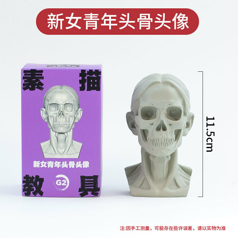 Модель головы Милонга, голова Тэо, гипсовая модель головы, учебное пособие, реалистичная голова, мини-версия, гипсовая модель для эскизов