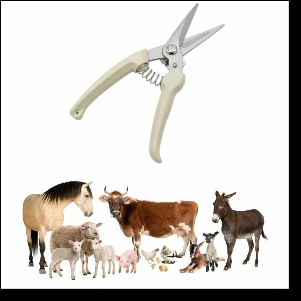 Ножницы для обрезки копыт коз овец / инструмент, секатор, кусачки копытные для стрижки сельхозживотных