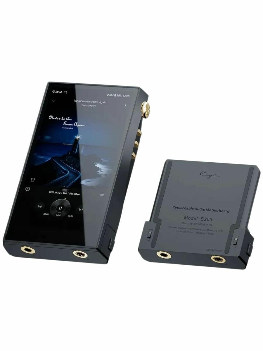 Сменный модуль Cayin E203 Black