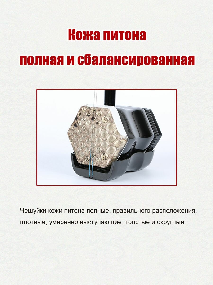 Струнный инструмент — фото 1