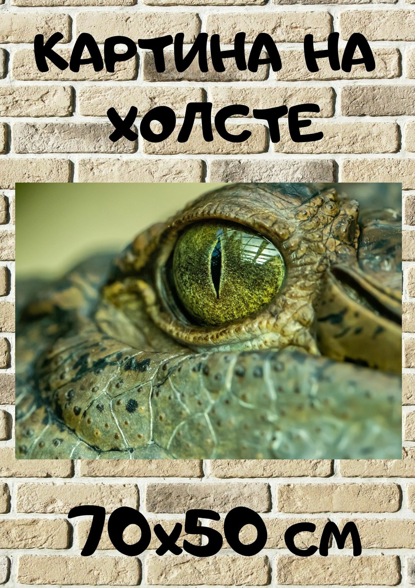 Картина Глаз, Слон, Зебра, Крокодил / Картина глаз животного