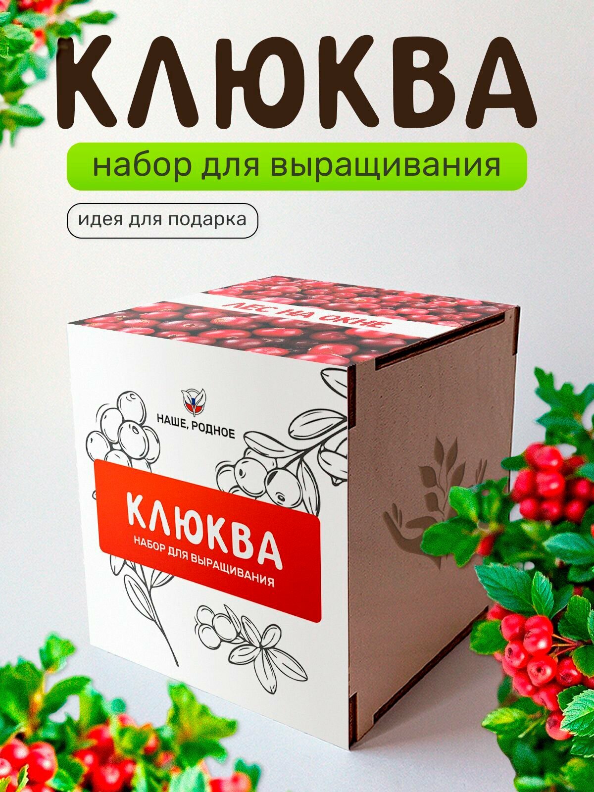 Набор для выращивания растений Сад на окне "Клюква", в деревянном горшочке