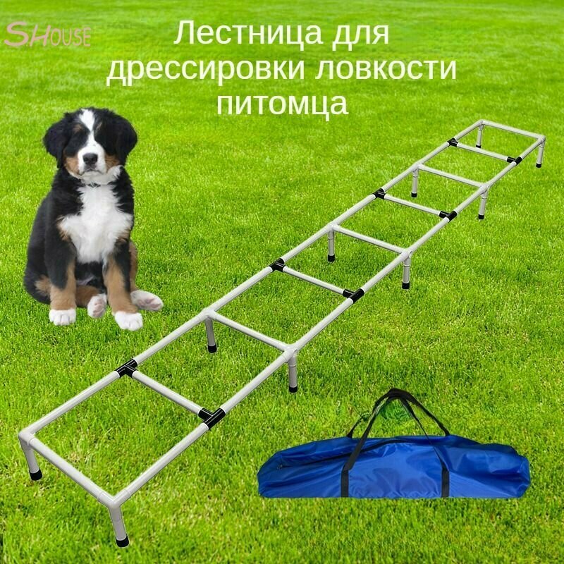 Барьер тренировочный для аджилити