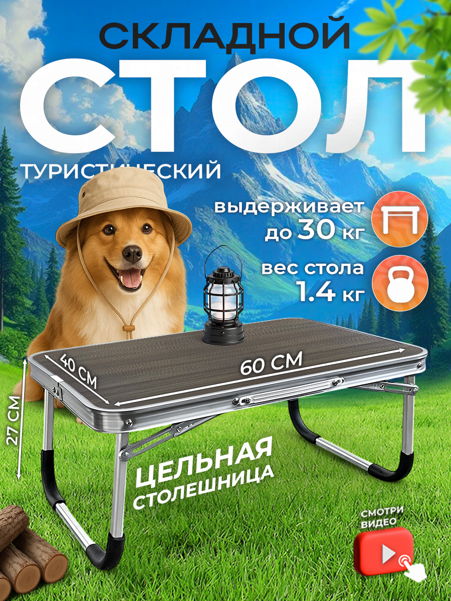 Стол туристический складной 60х40х27 без стульев для пикника