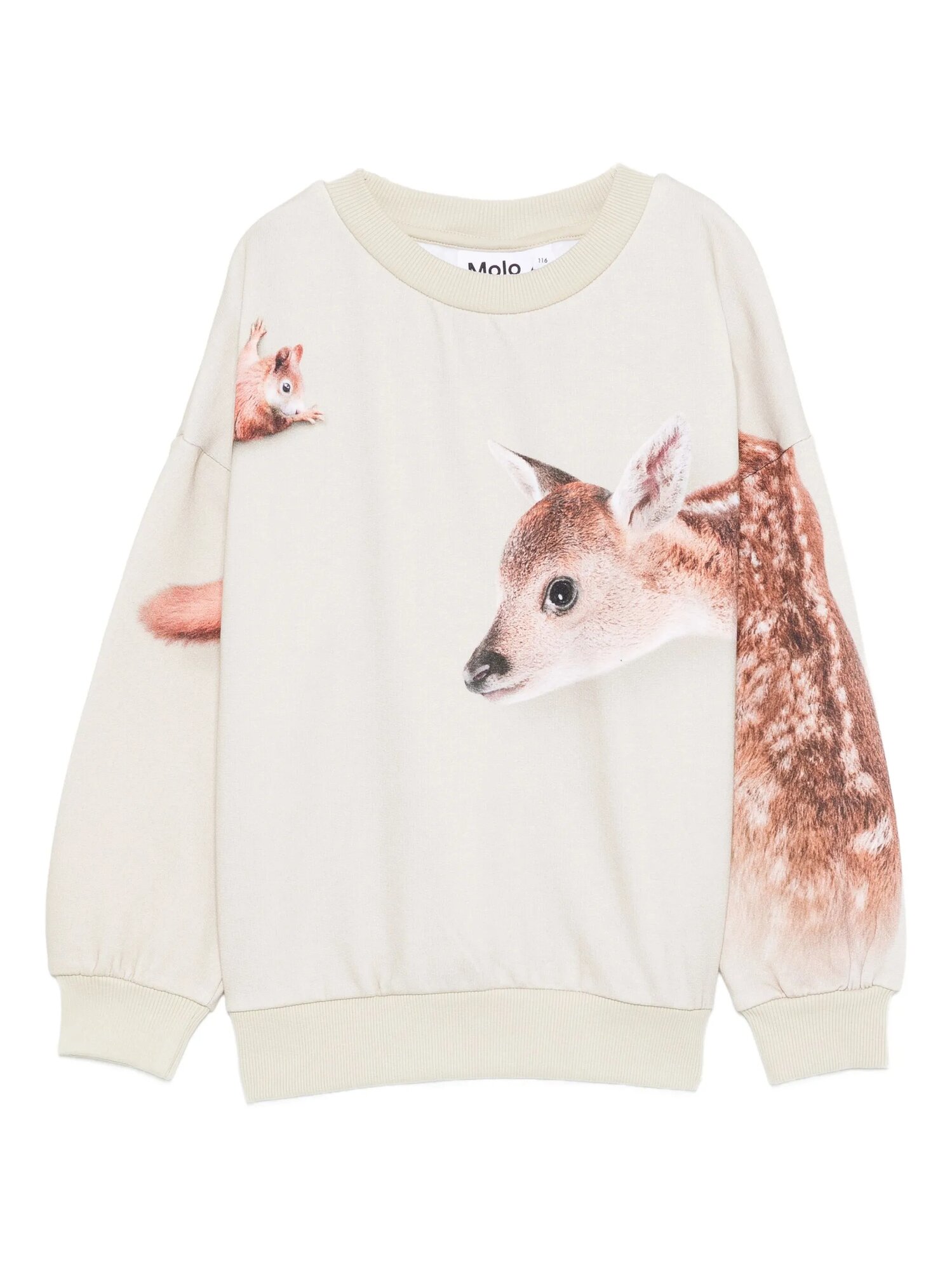 Толстовка Forrest Friends