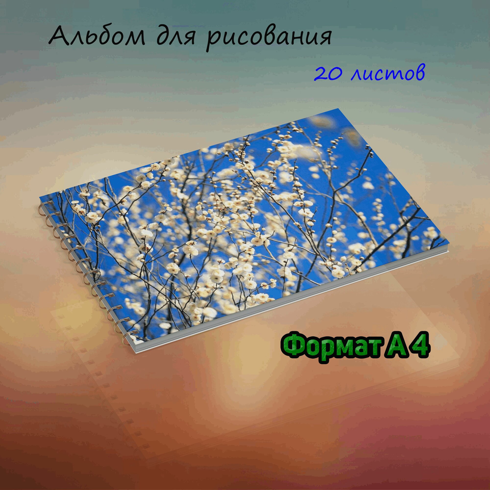 Альбом для рисования