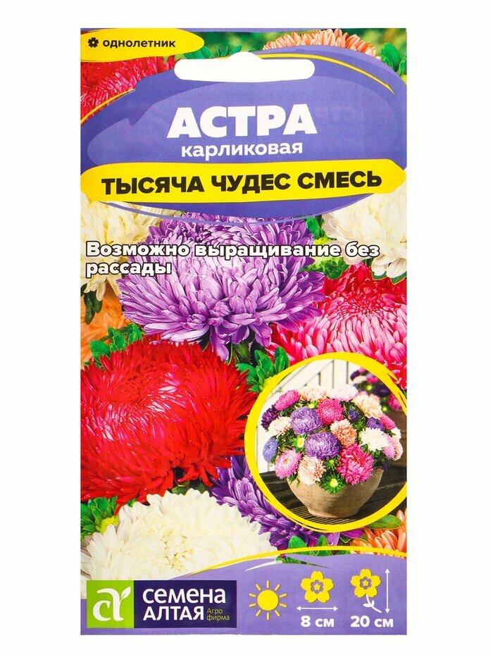 Семена цветов Астра «Тысяча чудес», карликовая, смесь, 0.15 г, «Семена Алтая»