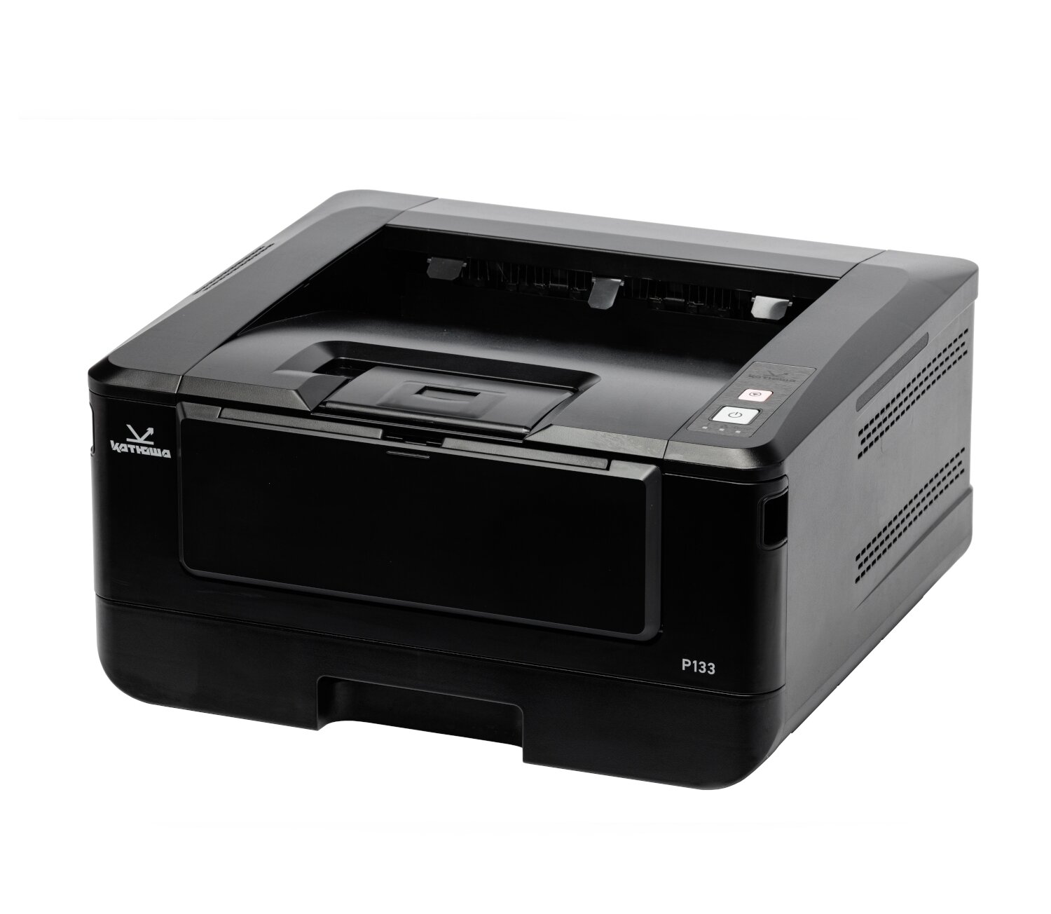 Принтер P133pm-pp