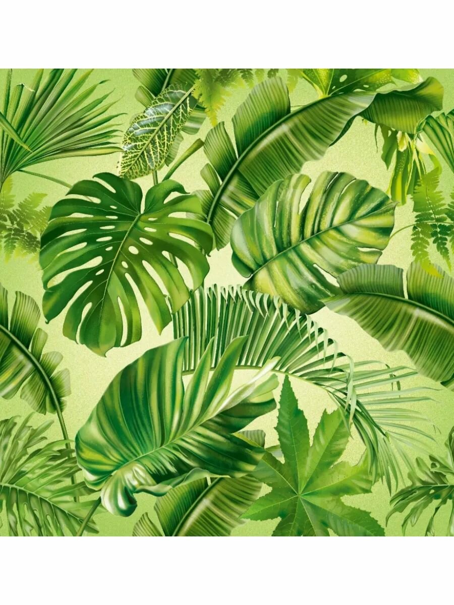 Фотообои бумажные Папоротник 196*201