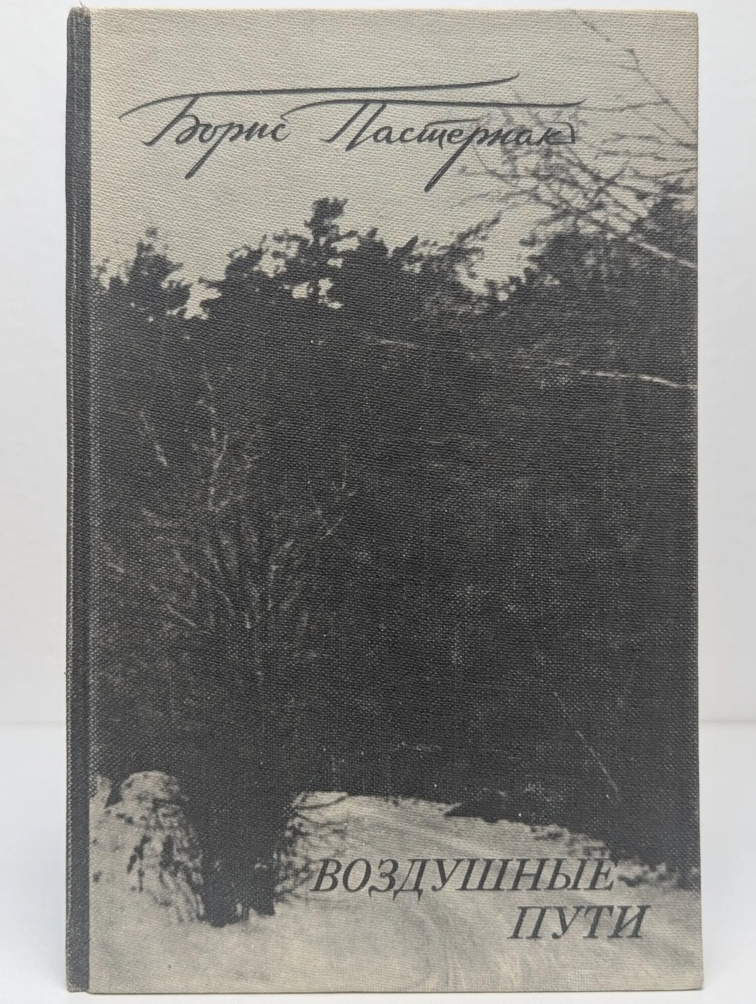 Воздушные пути Пастернак Борис Леонидович 1982