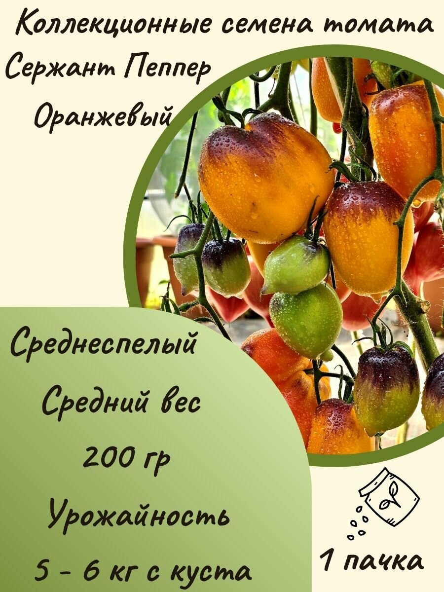Коллекционные семена томата Сержант Пеппер Оранжевый, 10 шт. семян