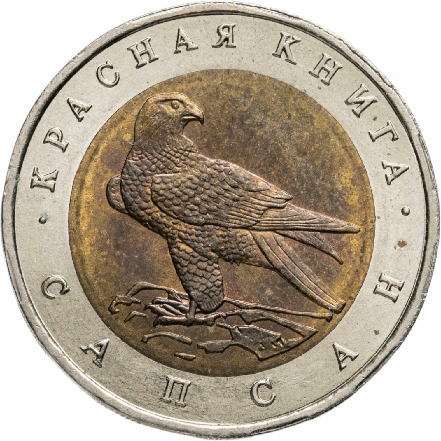 50 рублей 1994 ЛМД Сапсан - Красная Книга, Биметалл, в сохранности AU-UNC