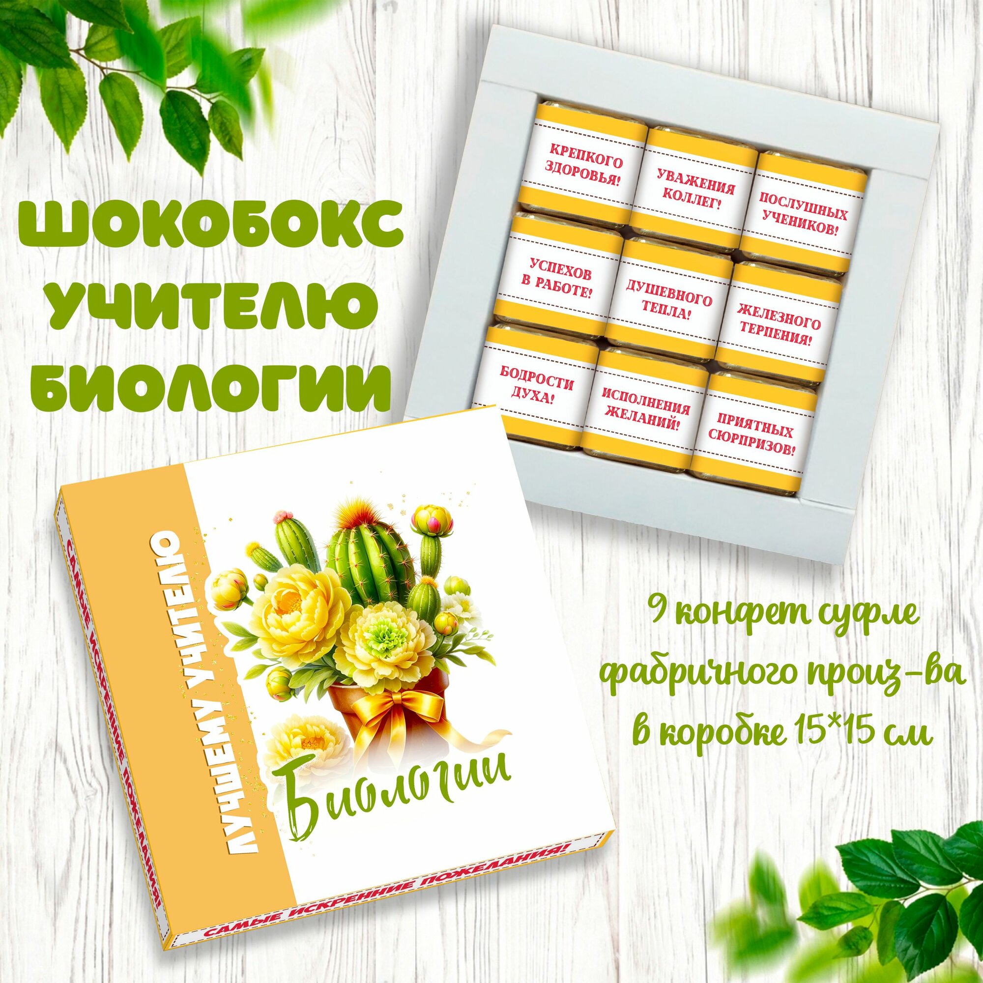 Подарочный набор конфет учителю биологии. шокобокс для учителя биологии. 9 конфет. 1 коробка