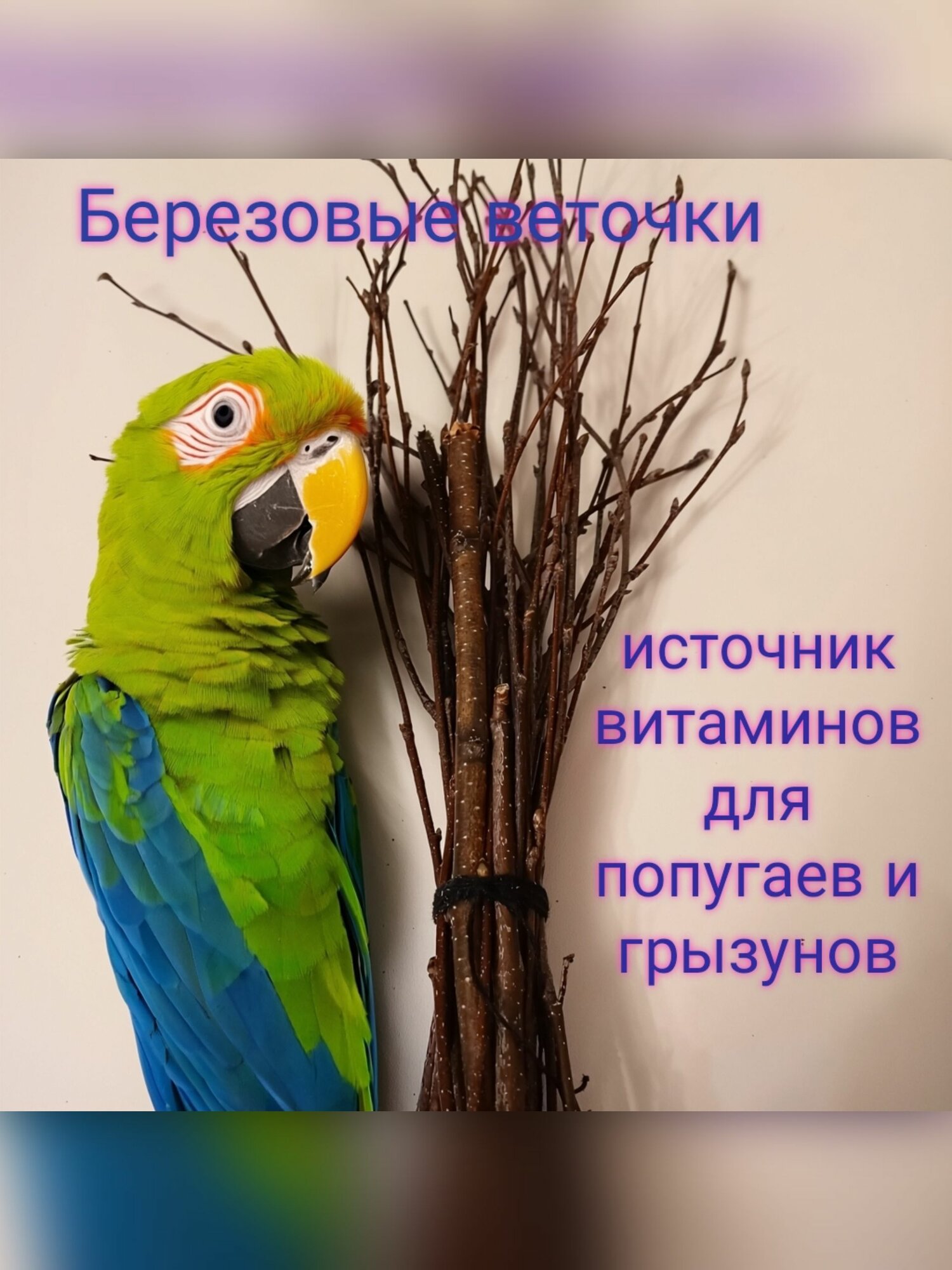 Березовые веточки лакомство для попугаев, грызунов