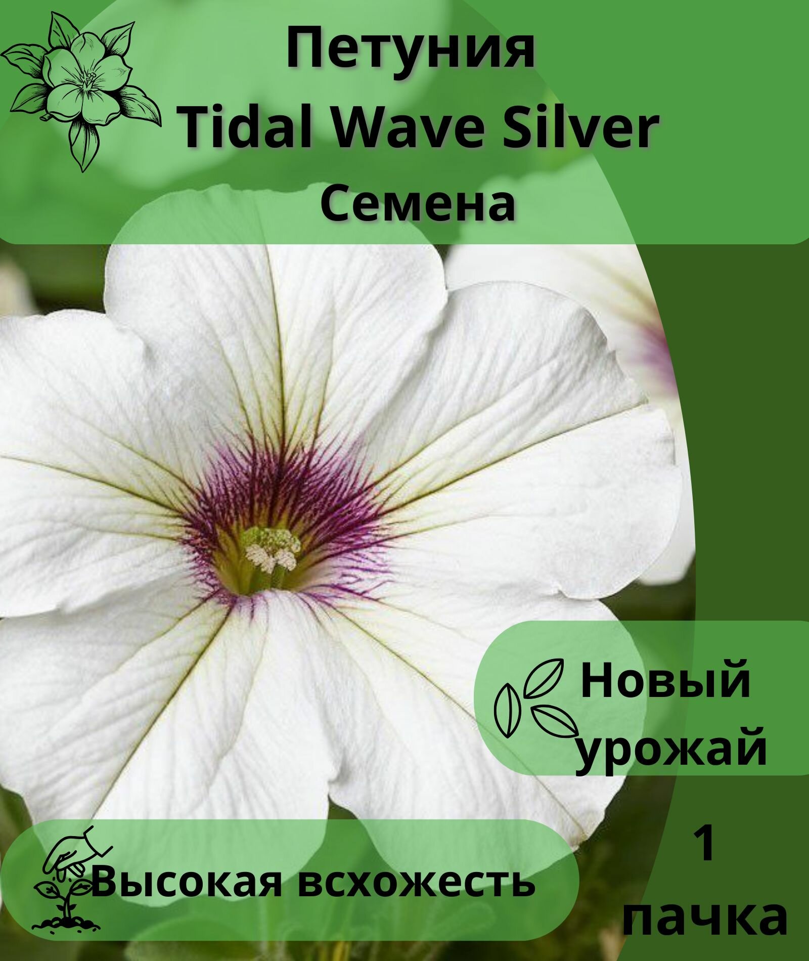Петуния Tidal Wave Silver, семена 1пачка