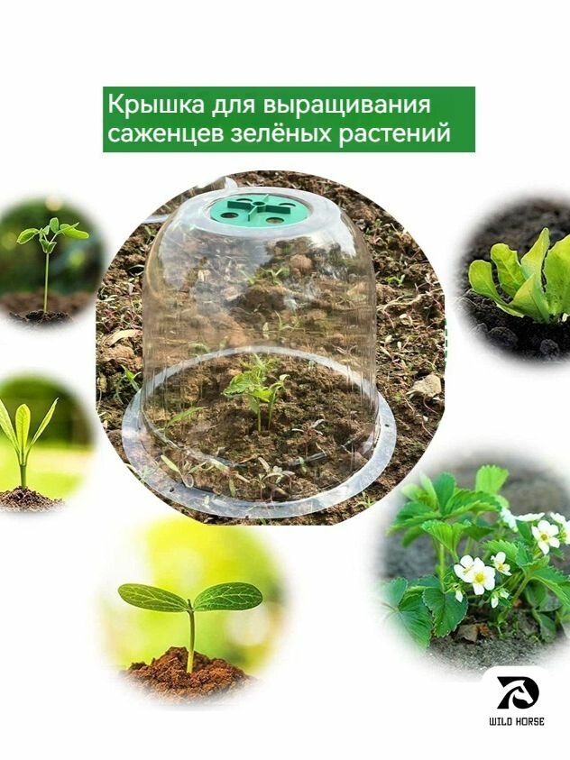 Парник, теплица — фото 1