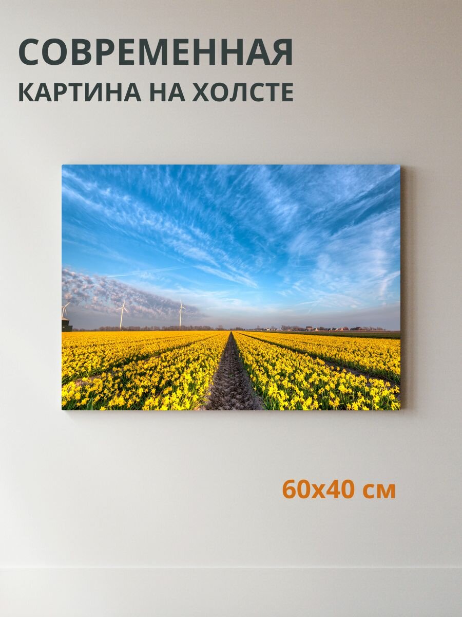 Картина на холсте Поле 60x40 см