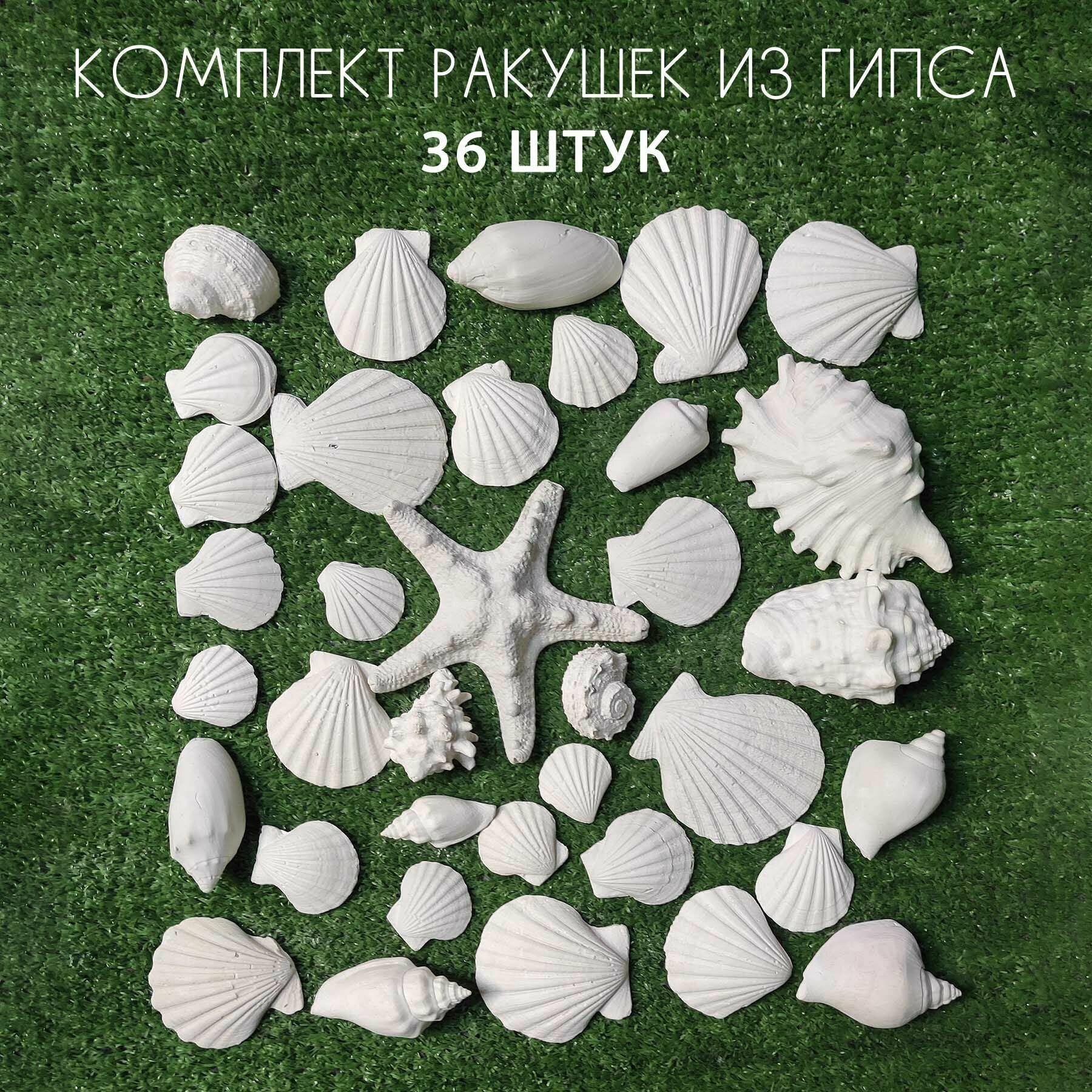 Украшение для интерьера "Ракушки"/ гипсовые фигурки ракушек, набор 36 штук