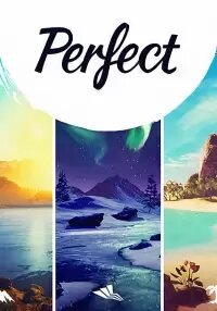 Perfect (Steam; PC; Регион активации ROW)
