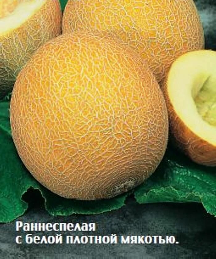 Коллекционные семена дыни Грунтовая ранняя