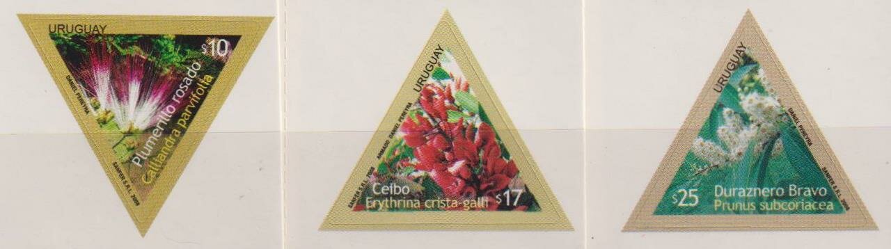 Почтовые марки Уругвай 2008г. "Цветы" Цветы MNH