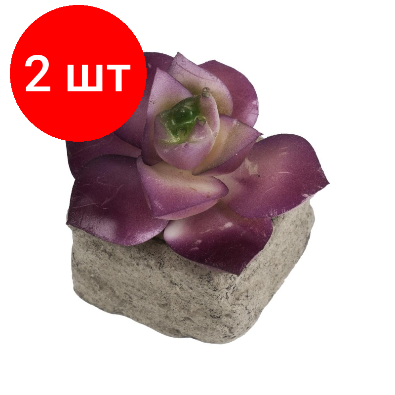 Комплект 2 штук, Цветок искусственный декоративный Розовый Суккулент в кашпо/8см арт.88211