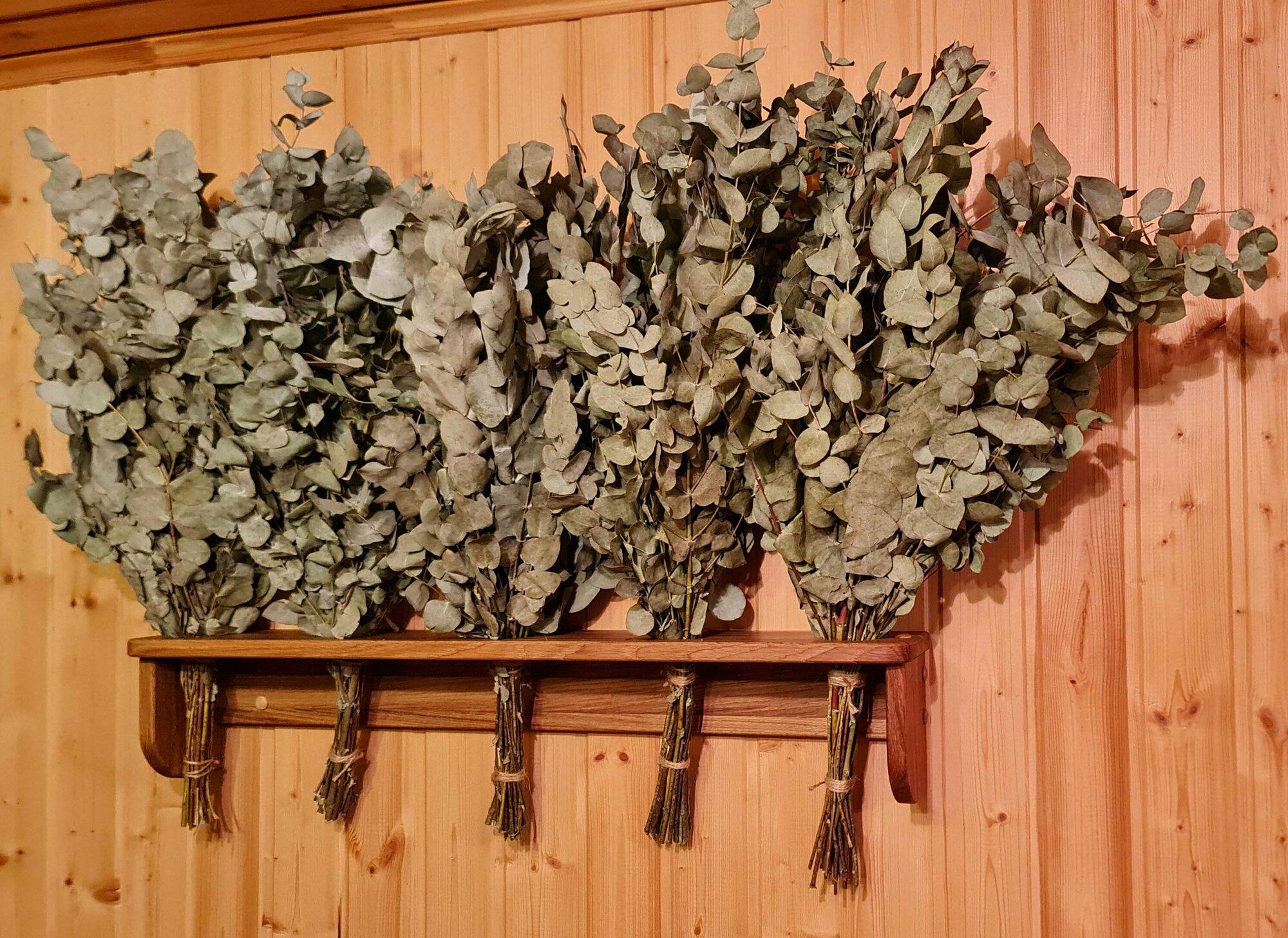 Веники эвкалипт серебристый 5 шт.