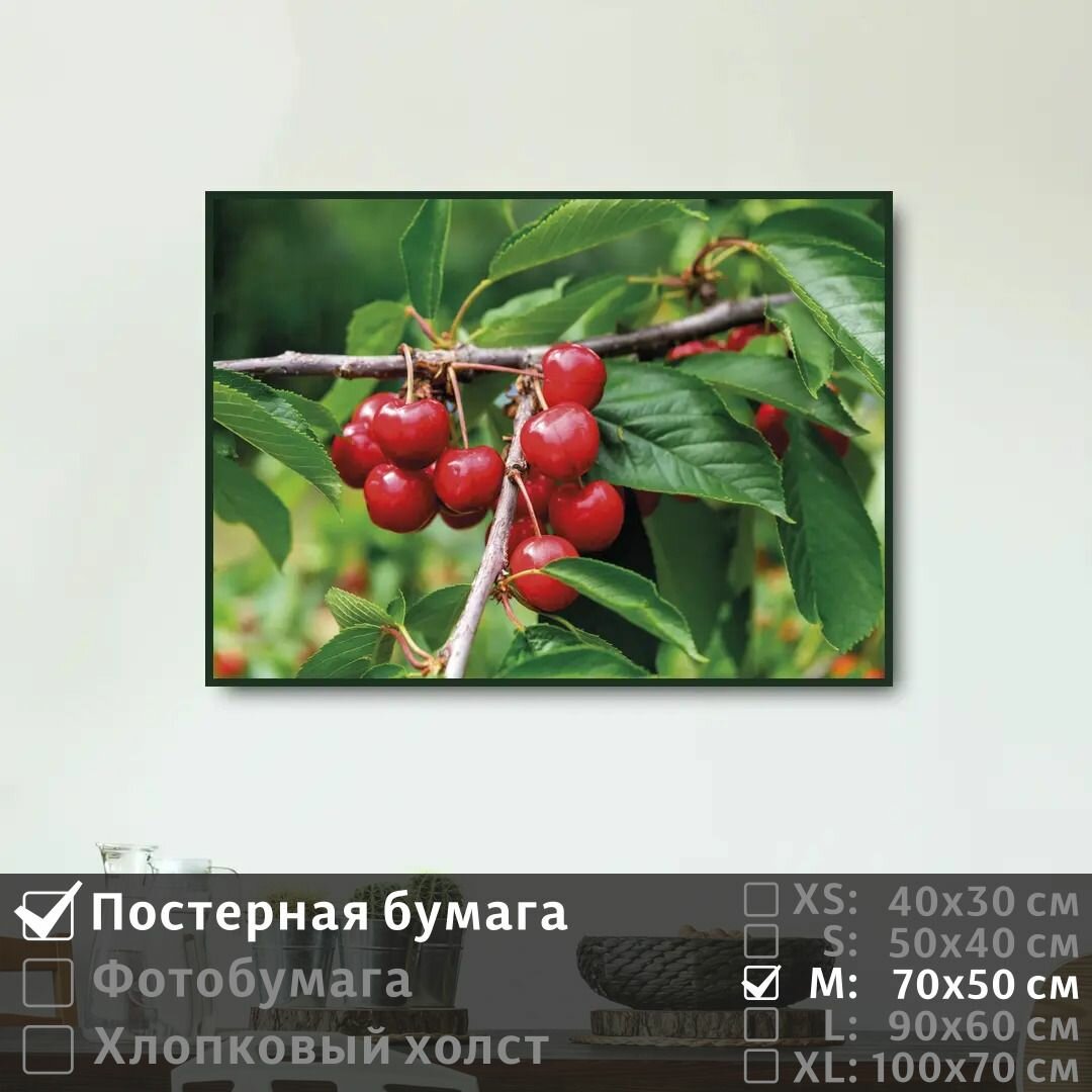 Постер на стену Летняя Ветка Вишни 70х50 см ПолиЦентр