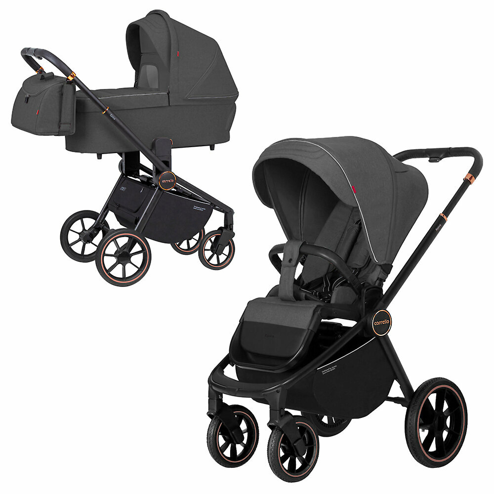 Детская коляска 2в1 Carrello Epica, цвет Iron Grey (Серый), артикул производителя CRL-8510/1