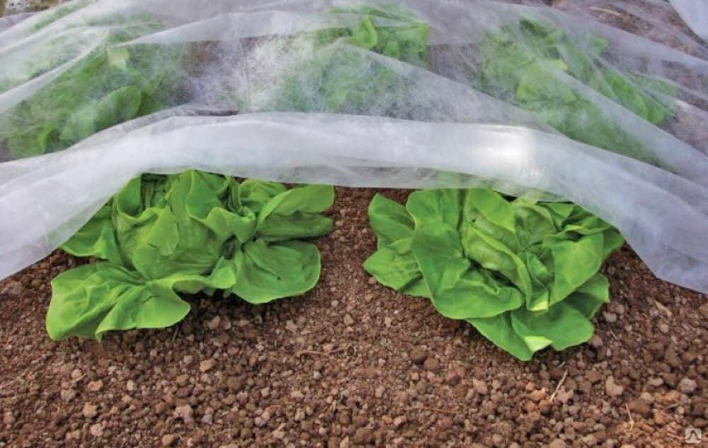 Нетканый укрывной материал спанбонд для сада 70см*11м, 12 г/м2