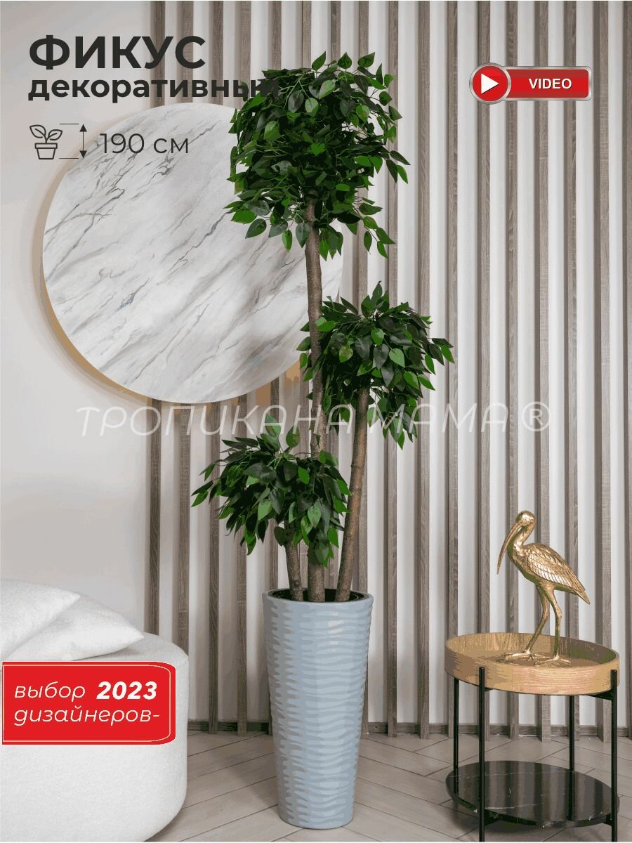 Искусственный цветок фикус