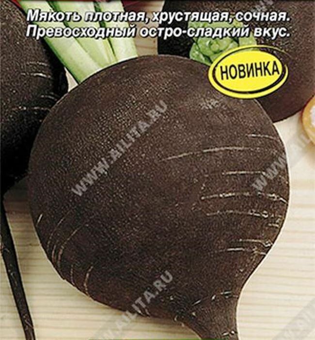 Семена Редька Брюнетка