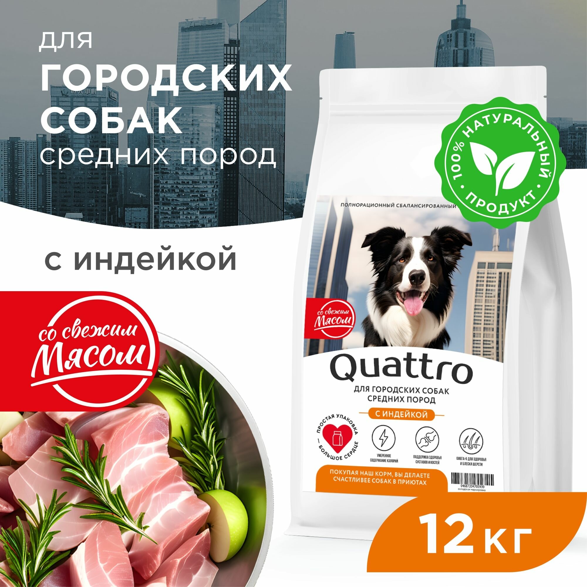 Корм сухой для взрослых собак средних пород, премиум полнорационный комплекс, для городских собак, с индейкой, 12 кг, QUATTRO