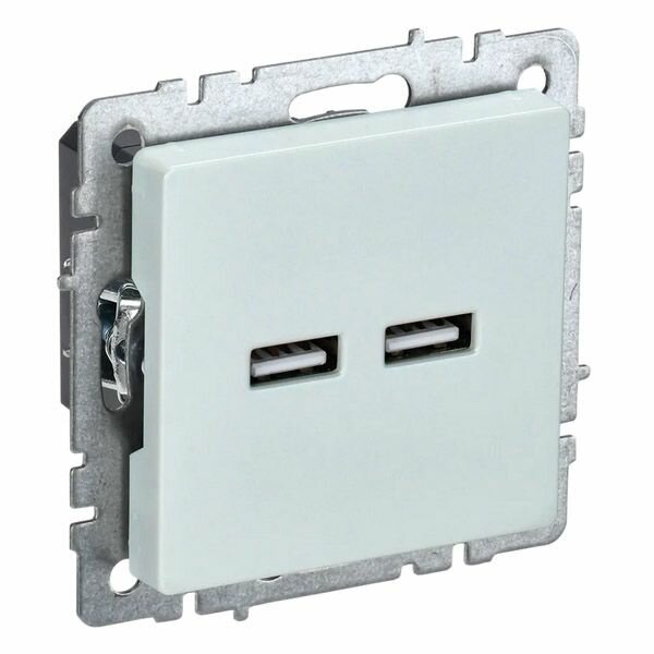 Розетка встраиваемая USB IEK BRITE A+A 3,1А BR-U21-D31-K36 РЮ10-1-БрЖ жемчуг