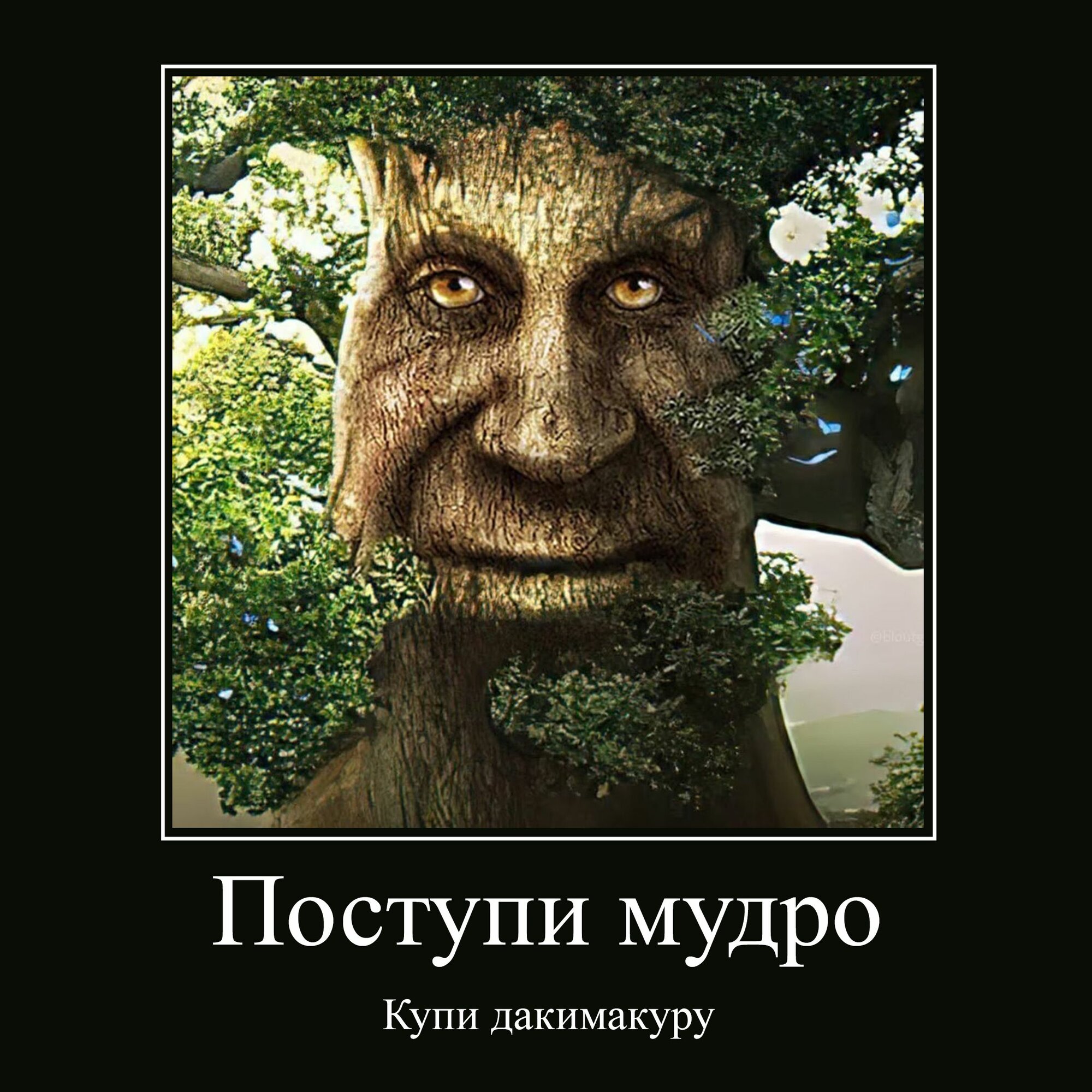 Подушка дакимакура Пень — фото 1