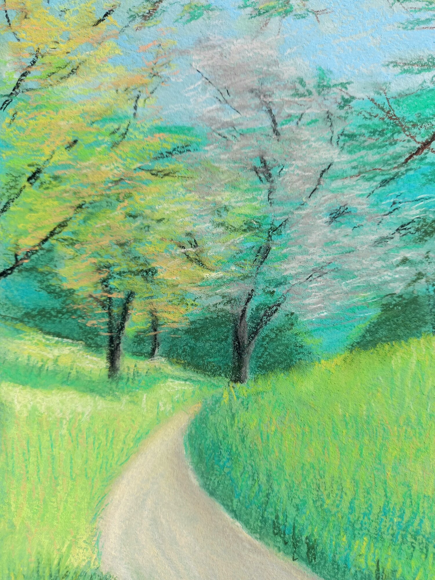 Картина летний пейзаж пастелью, ручная работа. Цветущие деревья.