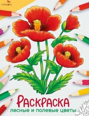 Раскр(Стрекоза) ОкружМир Лесные и полевые цветы