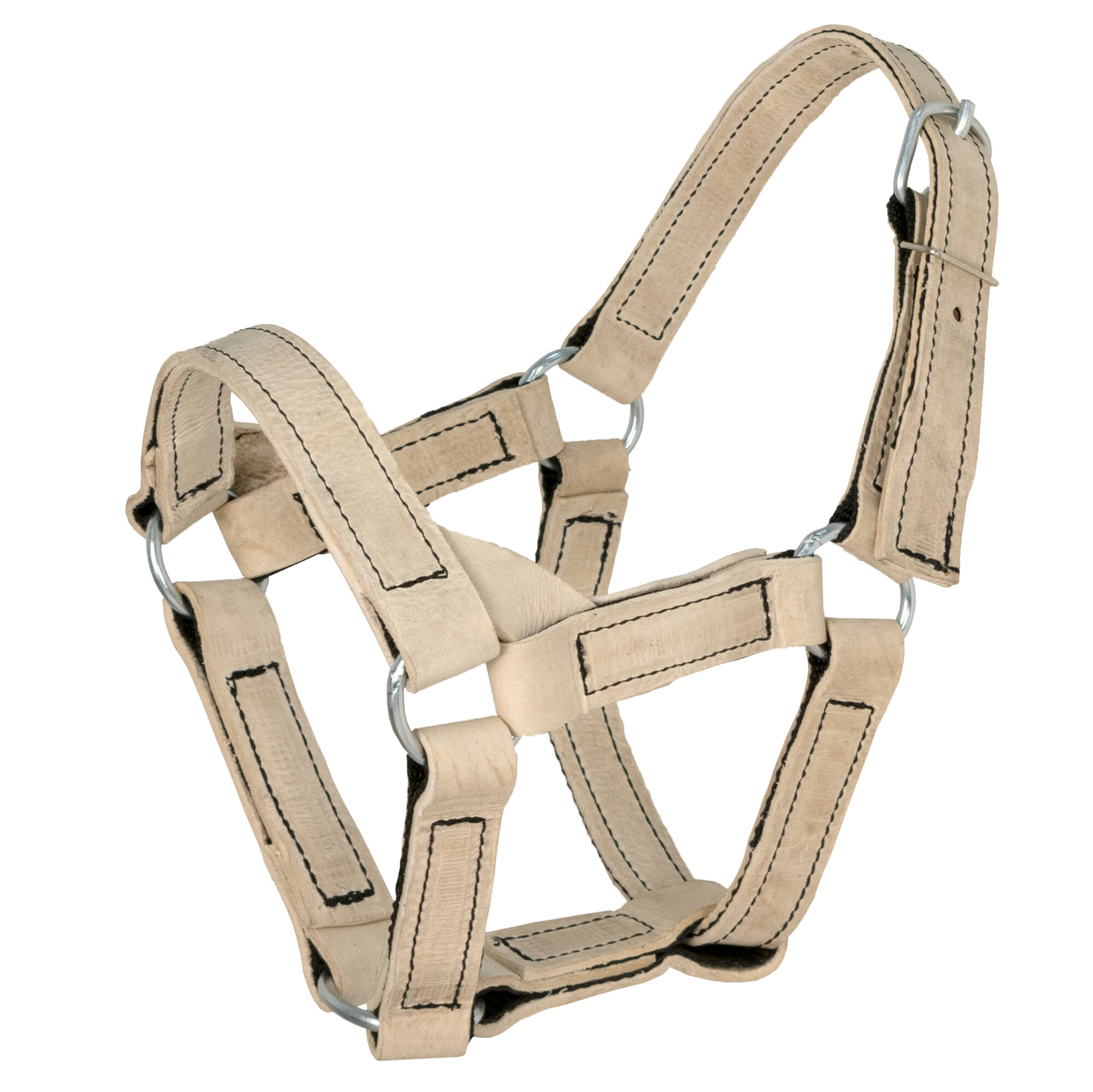 Недоуздок для жеребят без повода, недоуздок сыромять усиленный REITER 25 мм