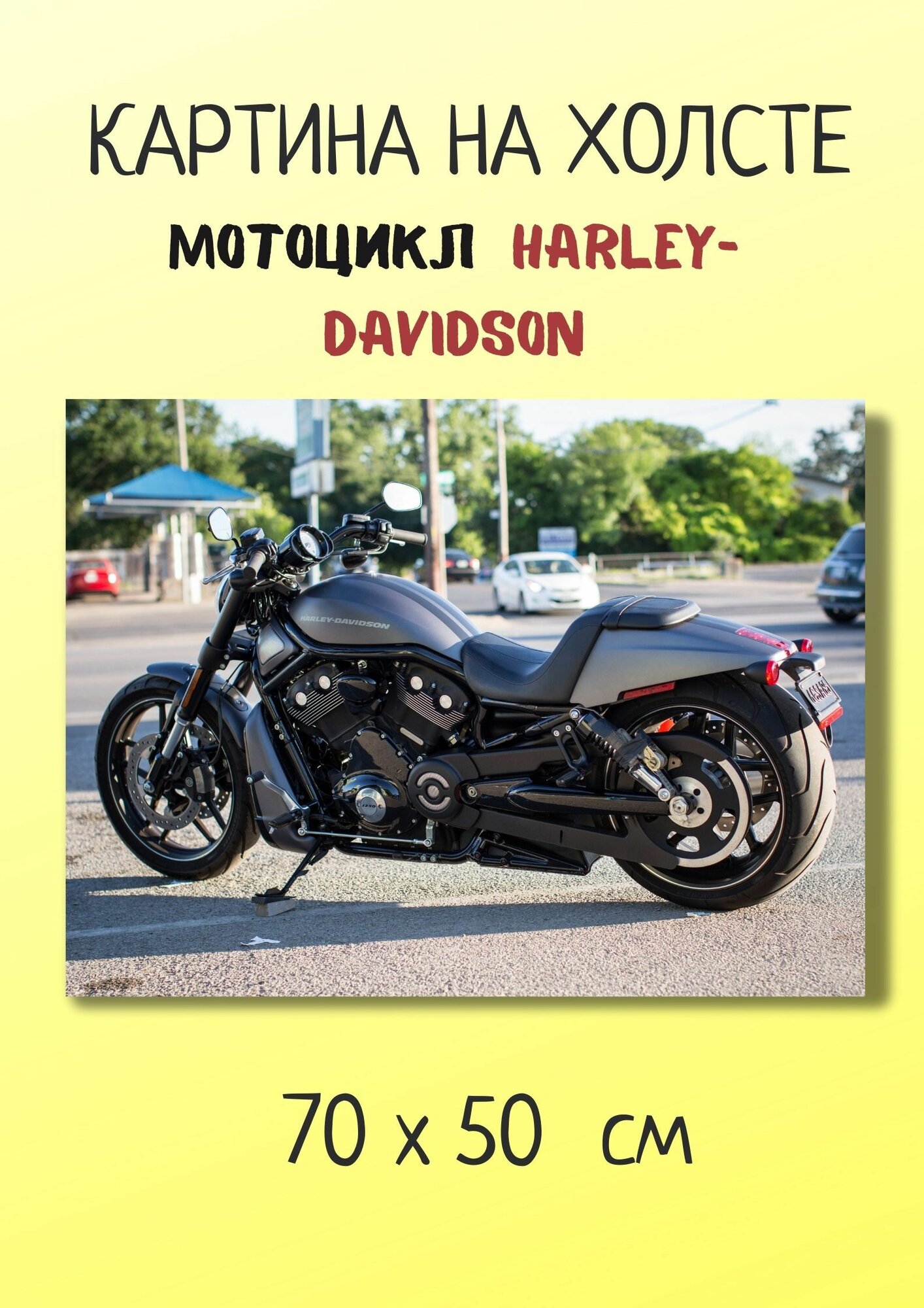 Фотокартина с красивым мотоциклом "Харлей Дэвидсон" 70х50 для интерьера