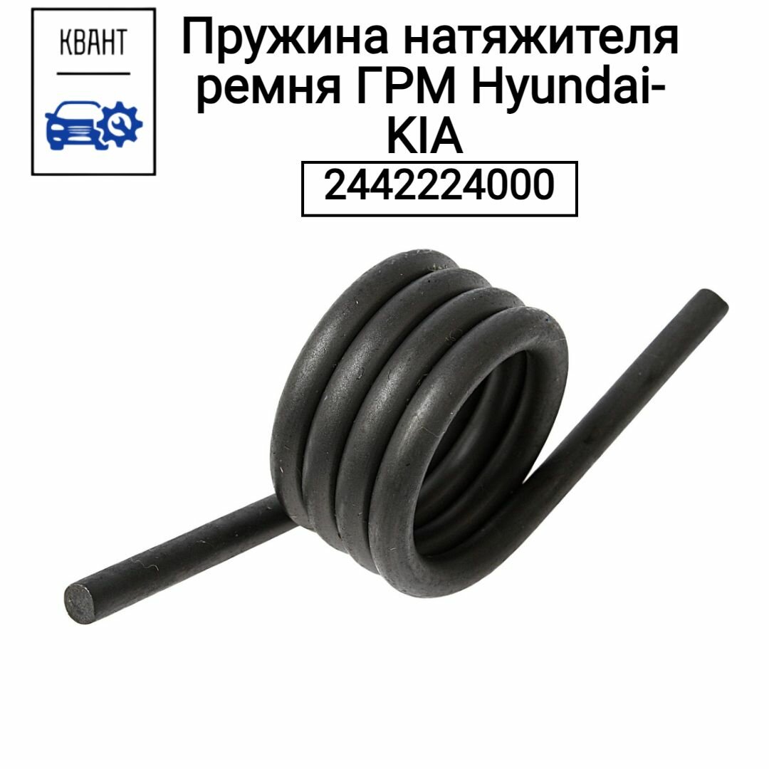 Пружина натяжителя ремня ГРМ Hyundai-KIA 2442224000