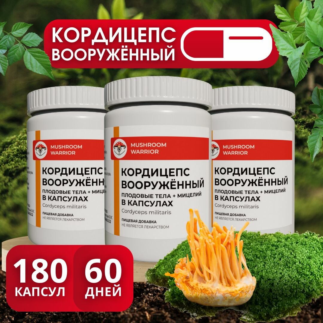 Кордицепс ноотроп, микс плодовых тел и мицелия для иммунитета, детокс для омоложения, 3х60 капсул, Mushroom Warrior