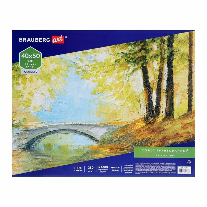 Холст грунтованный Brauberg на картоне 40х50 см, 100% хлопок, мелкое зерно (190622)