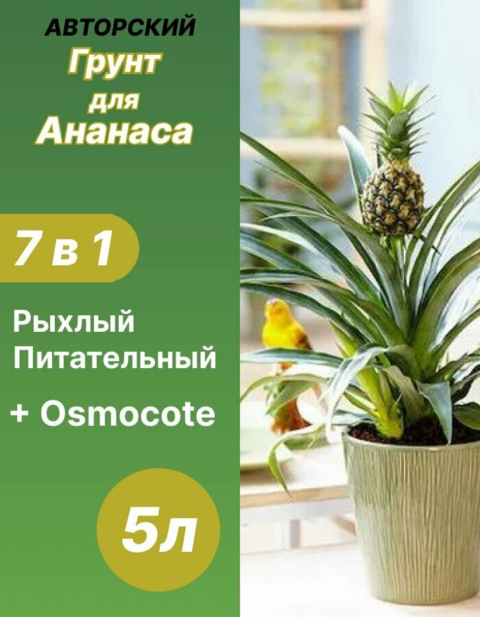 Грунт для Ананаса готовый 5л