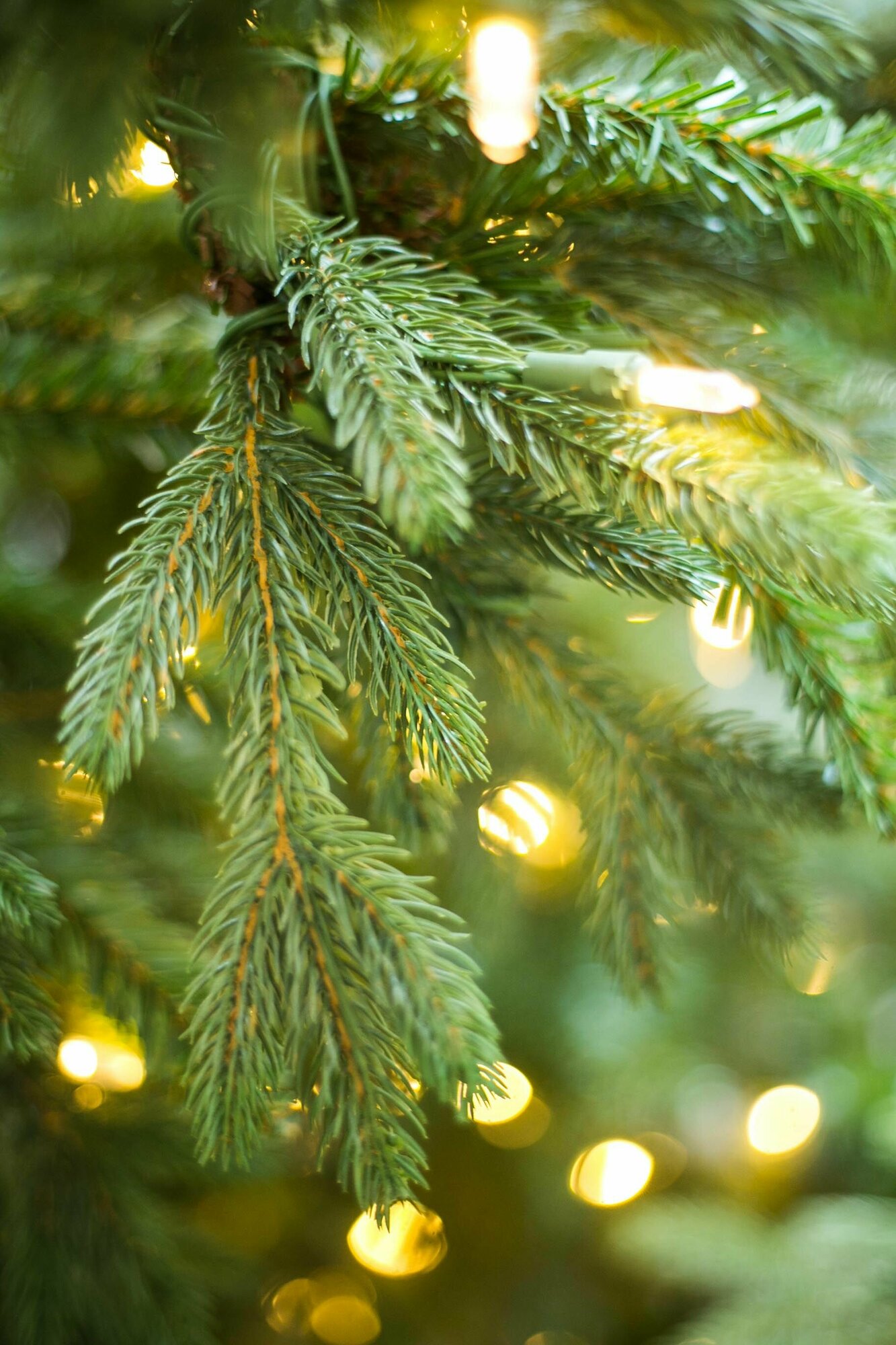 Елка TIROL CONES 245 см со встроенной гирляндой LED ONE PLUG