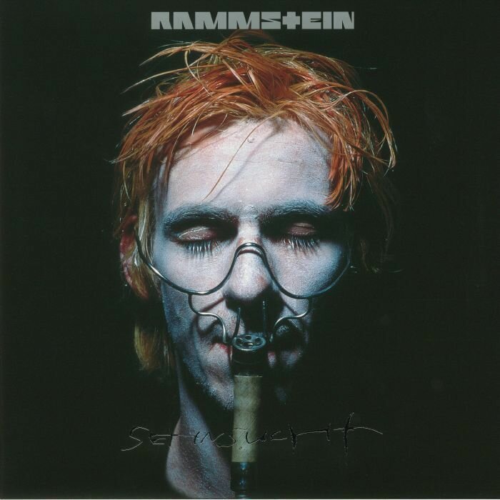 Виниловая пластинка Rammstein "Sehnsucht" Lp